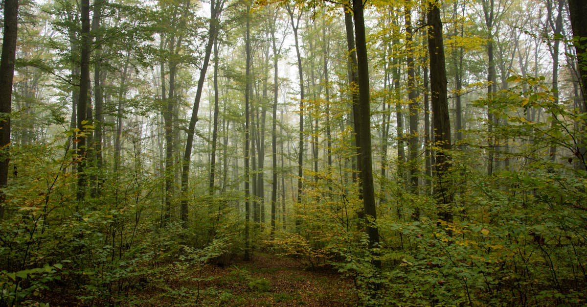 Découverte des gps de randonnée : les meilleurs modèles - la-revue.com